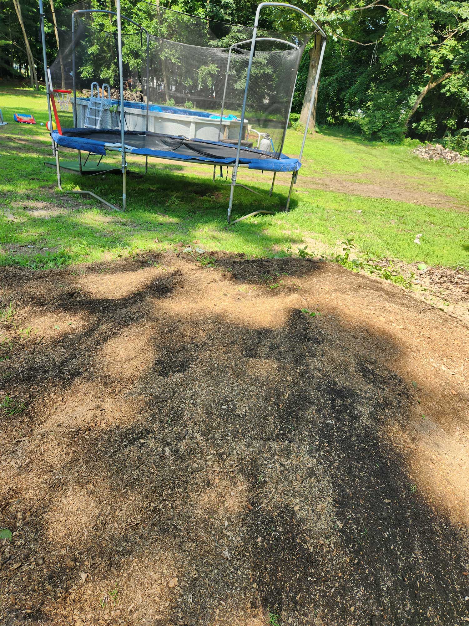 518 Stumps – Stump Grinding Near You